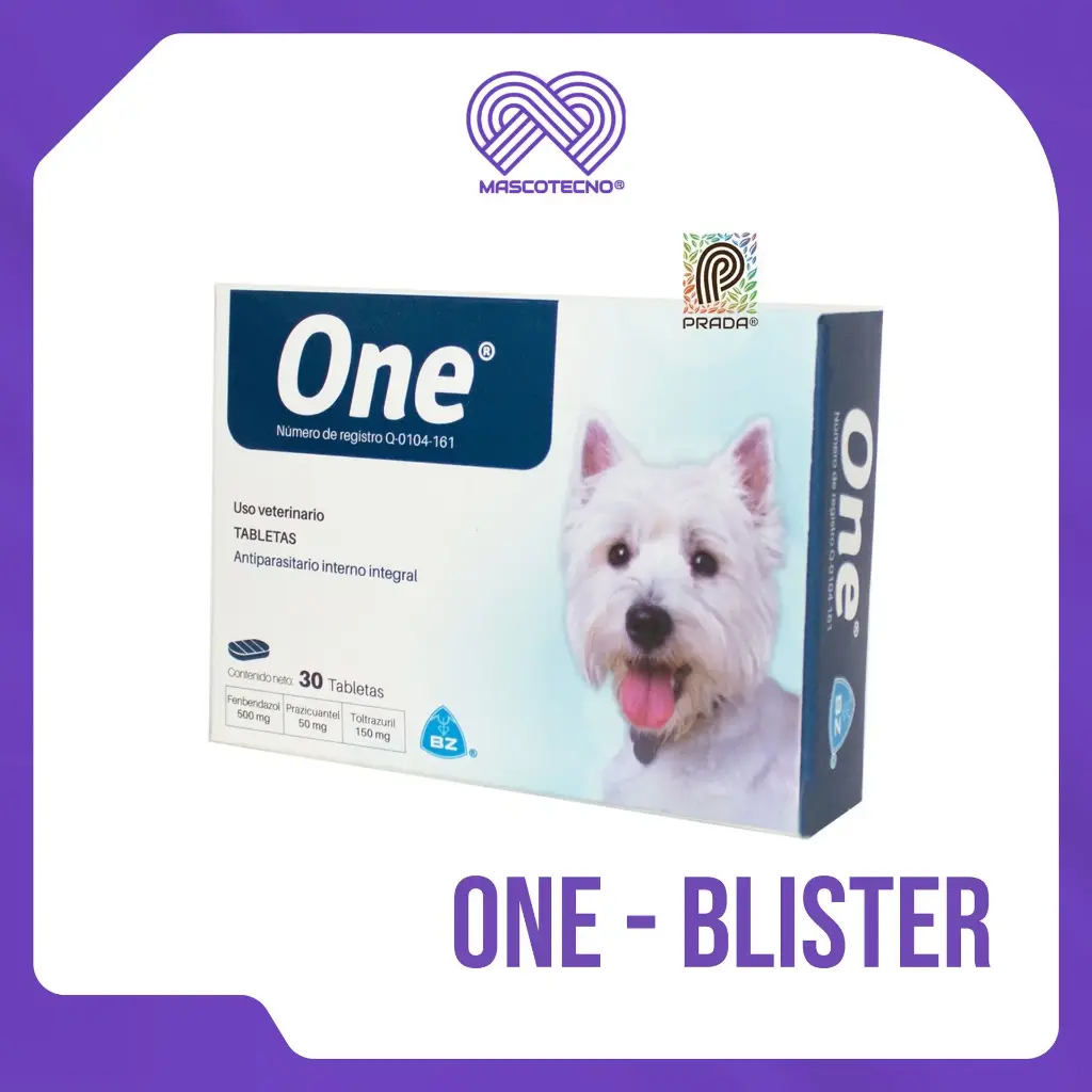 ONE - BLISTER X 10 TABLETAS | MASCOTECNO
